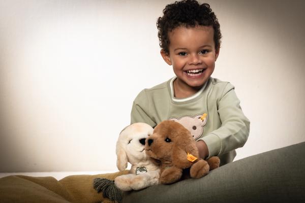 Steiff - Lenny Labrador Chocolate 076886