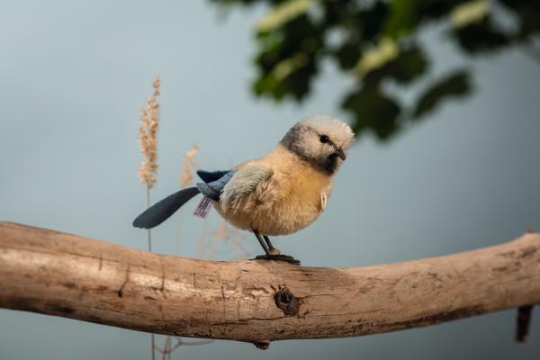 Steiff - Piccy Blue Tit 033360*